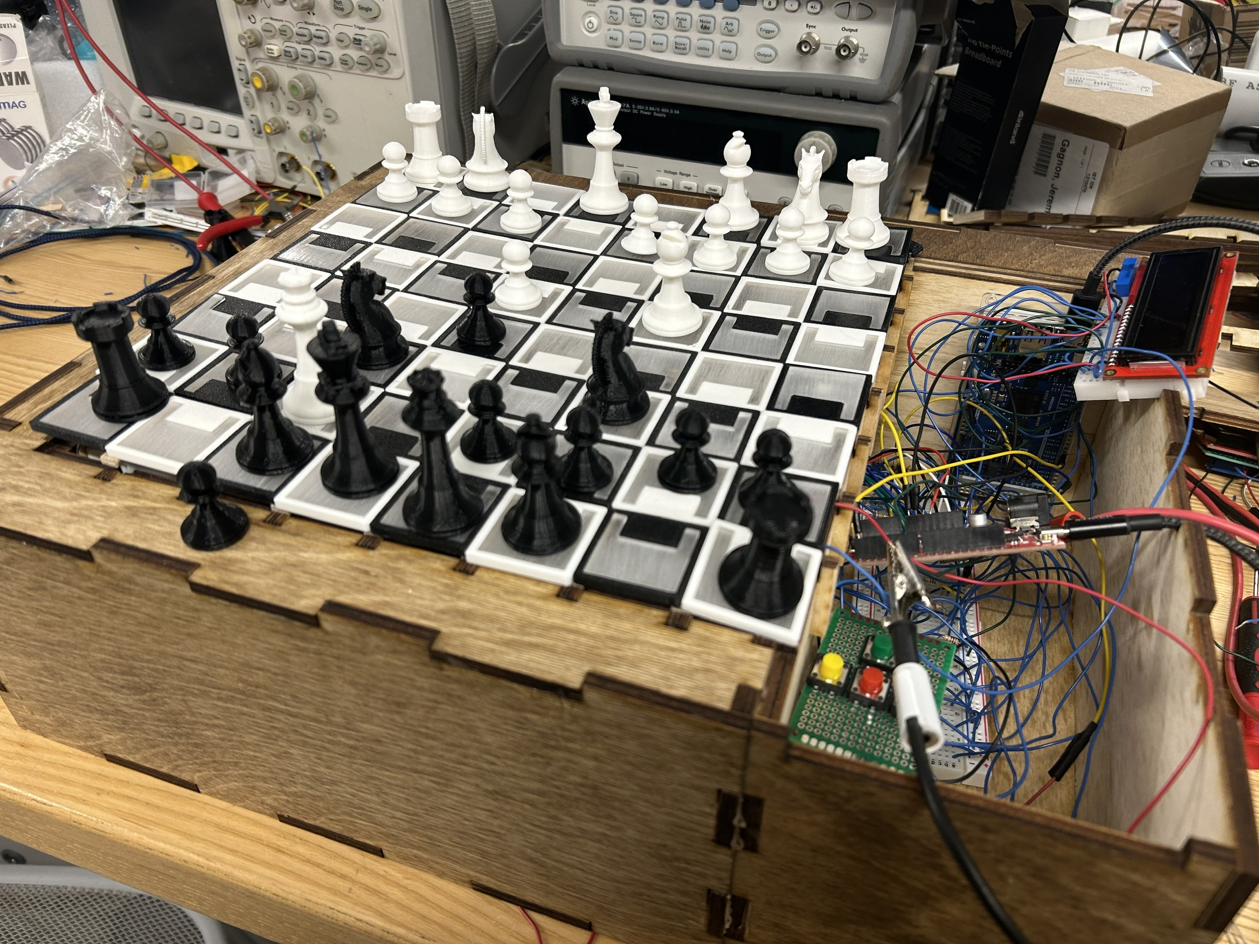 Thuong Tran's Portfolio