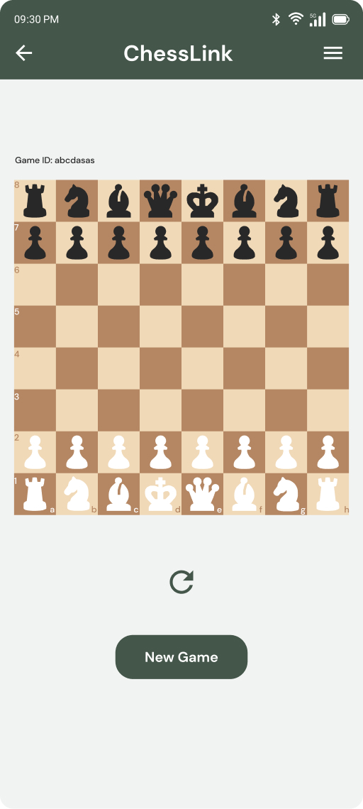 Thuong Tran's Portfolio