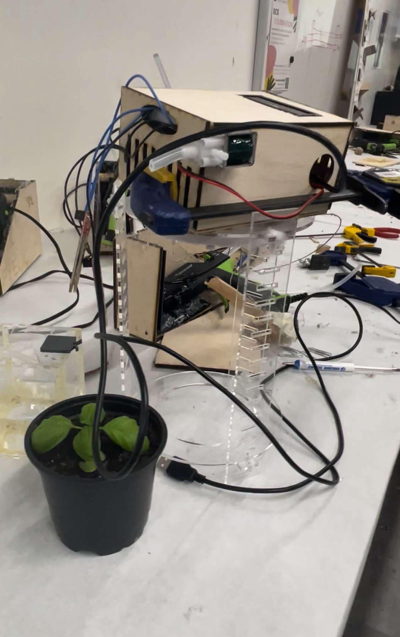 Thuong Tran's Portfolio